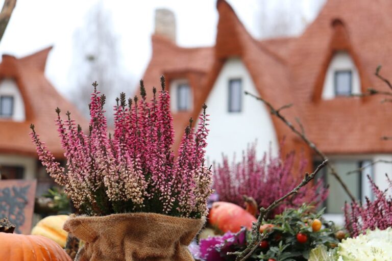 42+ Enchanting Cottagecore Names for Your Rustic Dreamworld – growlove.blog